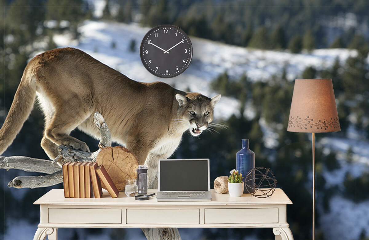 Bergleeuw op een dode boom - Fotobehang