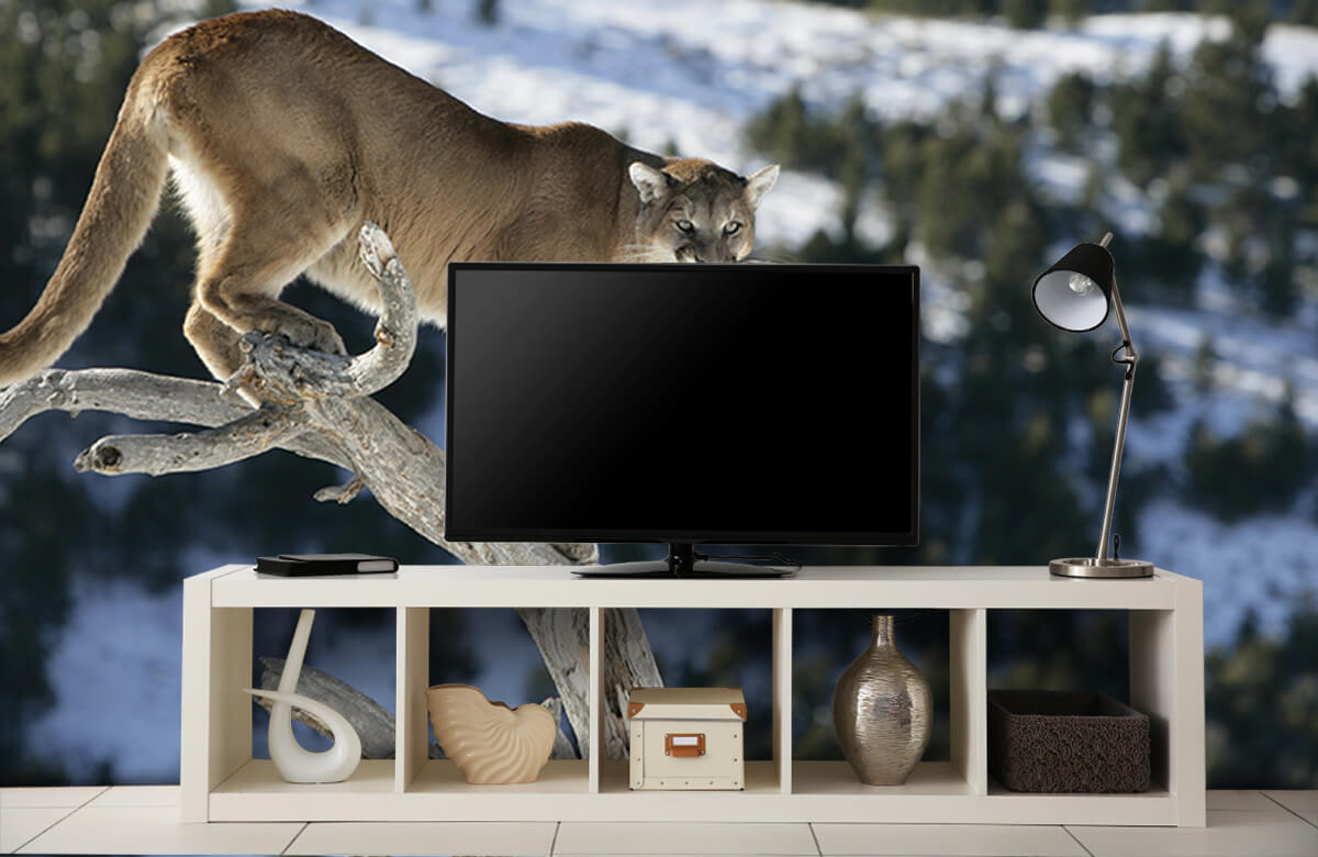 Bergleeuw op een dode boom - Fotobehang