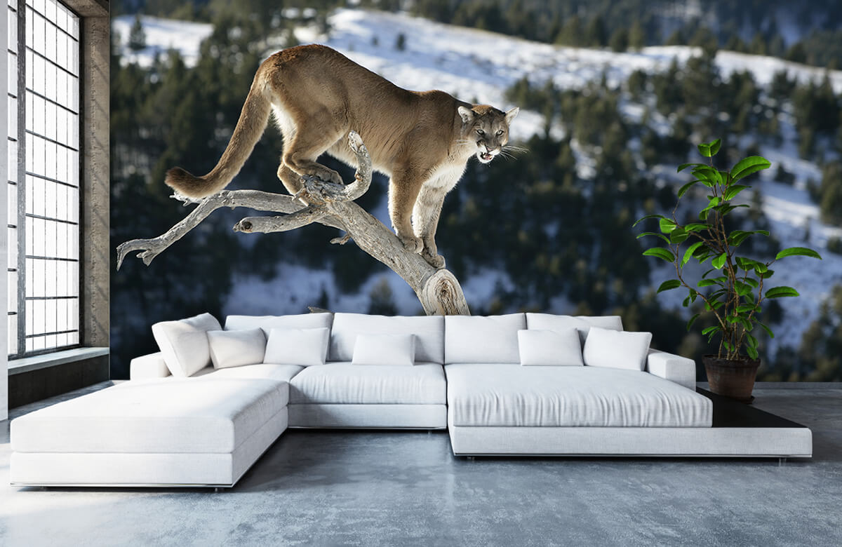 Bergleeuw op een dode boom - Fotobehang