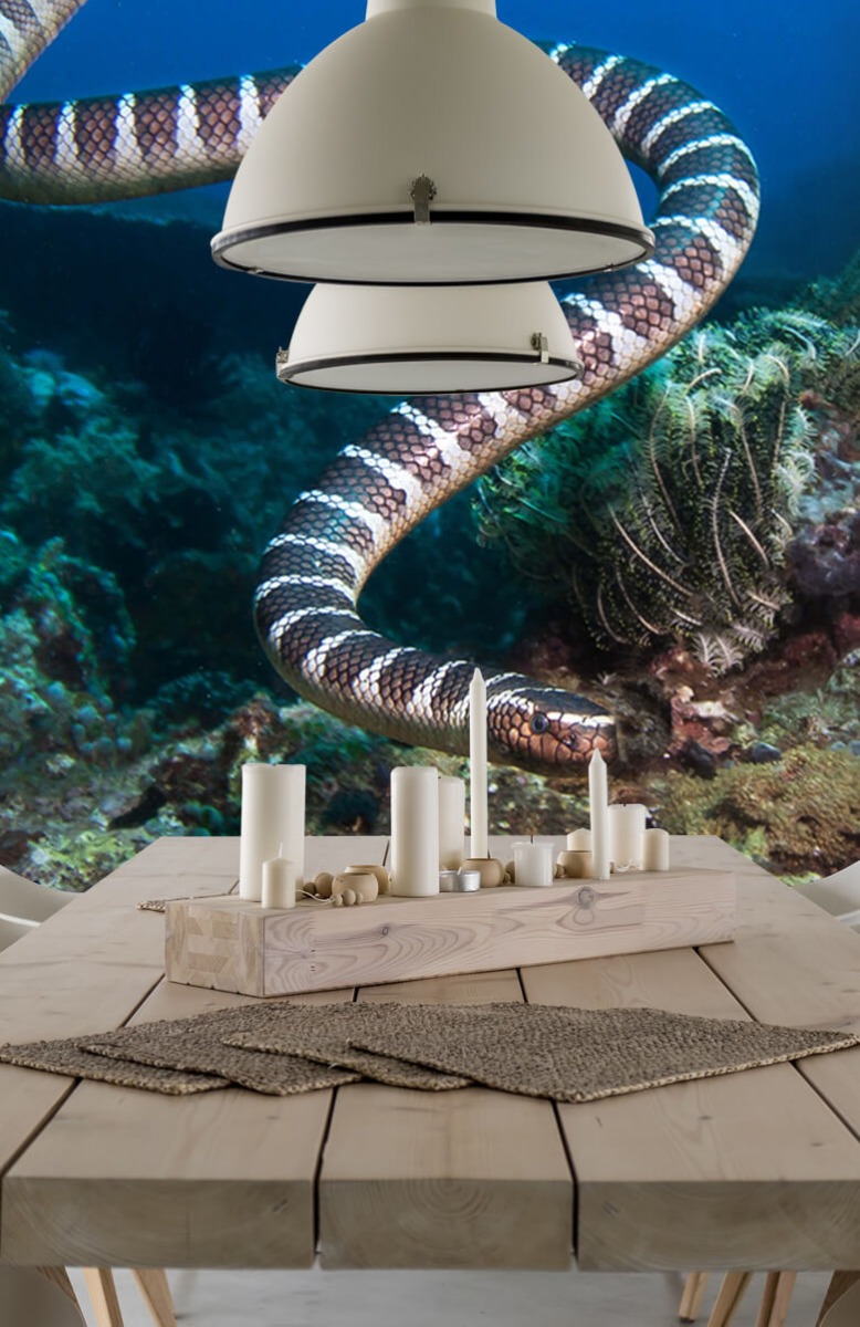 Gestreepte zeeslang - Fotobehang