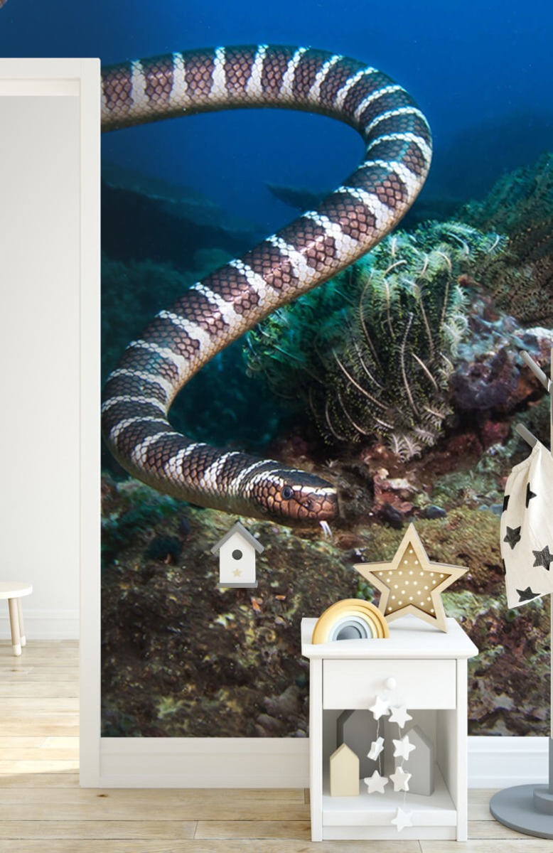 Gestreepte zeeslang - Fotobehang
