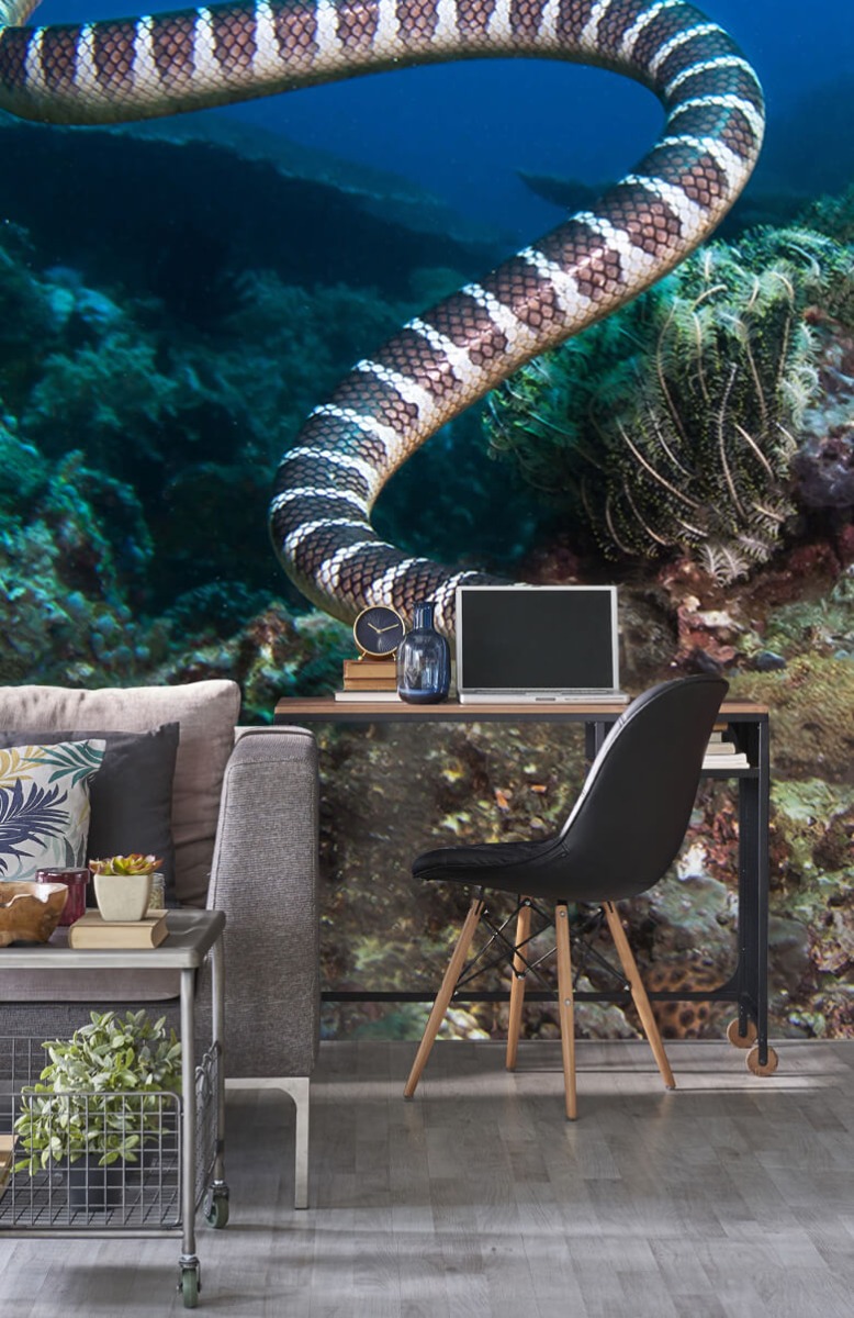 Gestreepte zeeslang - Fotobehang