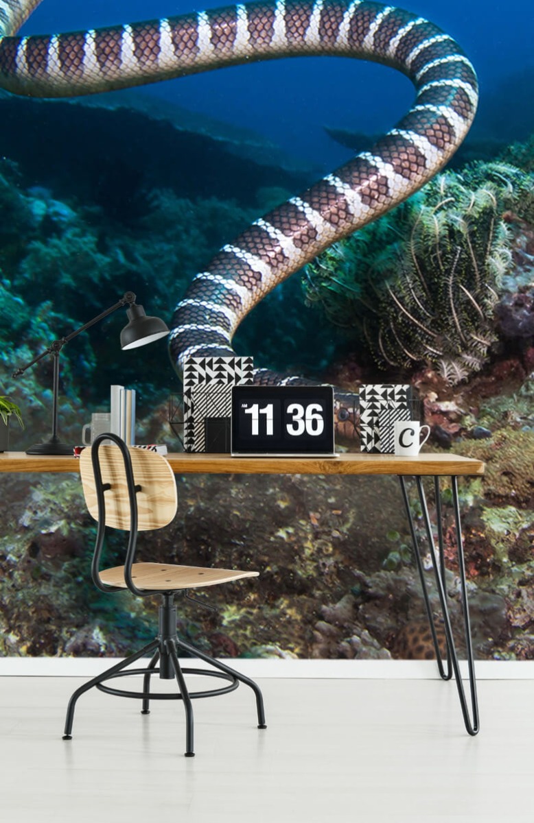 Gestreepte zeeslang - Fotobehang