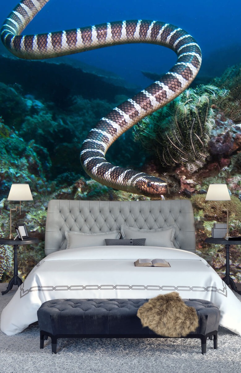 Gestreepte zeeslang - Fotobehang