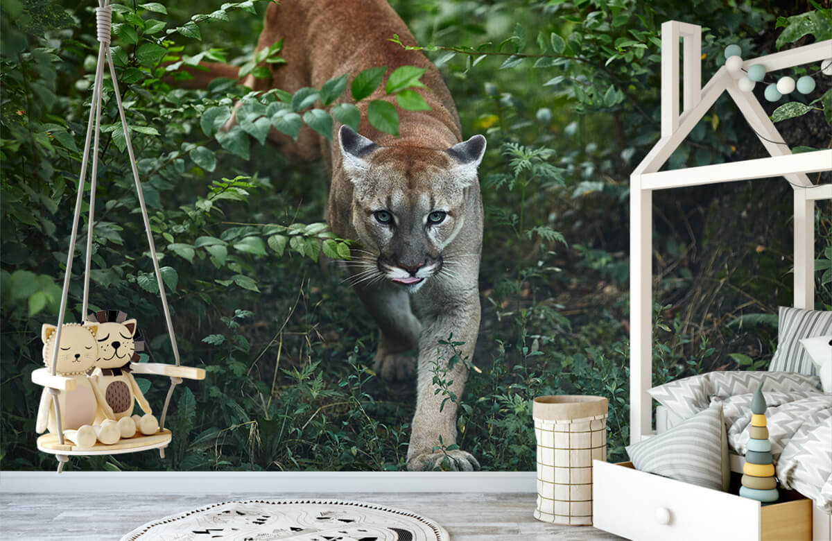 Sluipende bergleeuw - Fotobehang