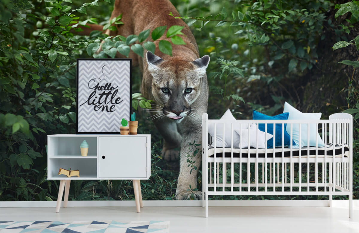 Sluipende bergleeuw - Fotobehang