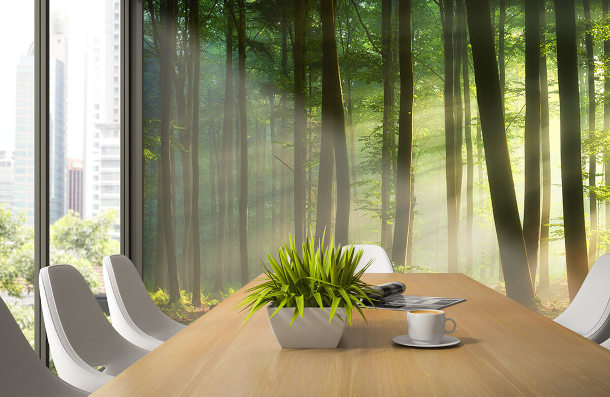 Ochtendzon tussen de bomen - Fotobehang