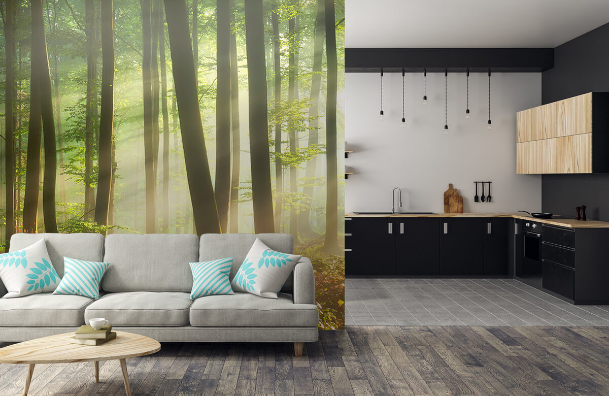 Ochtendzon tussen de bomen - Fotobehang