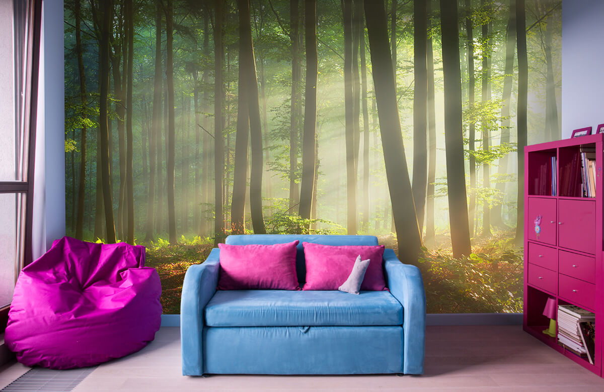 Ochtendzon tussen de bomen - Fotobehang