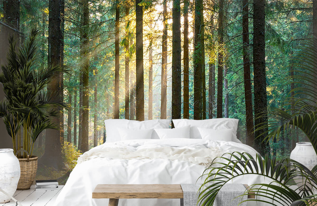 Rustig bos - Fotobehang