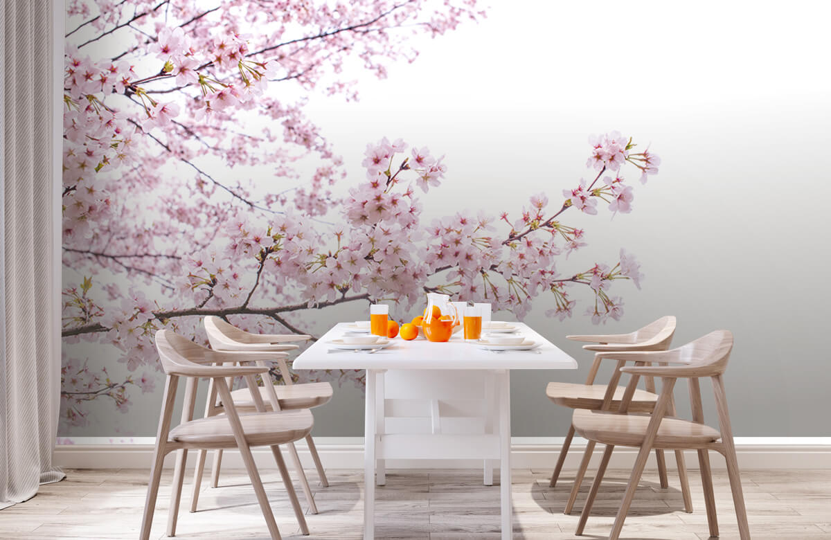 Roze bloesem takken - Fotobehang