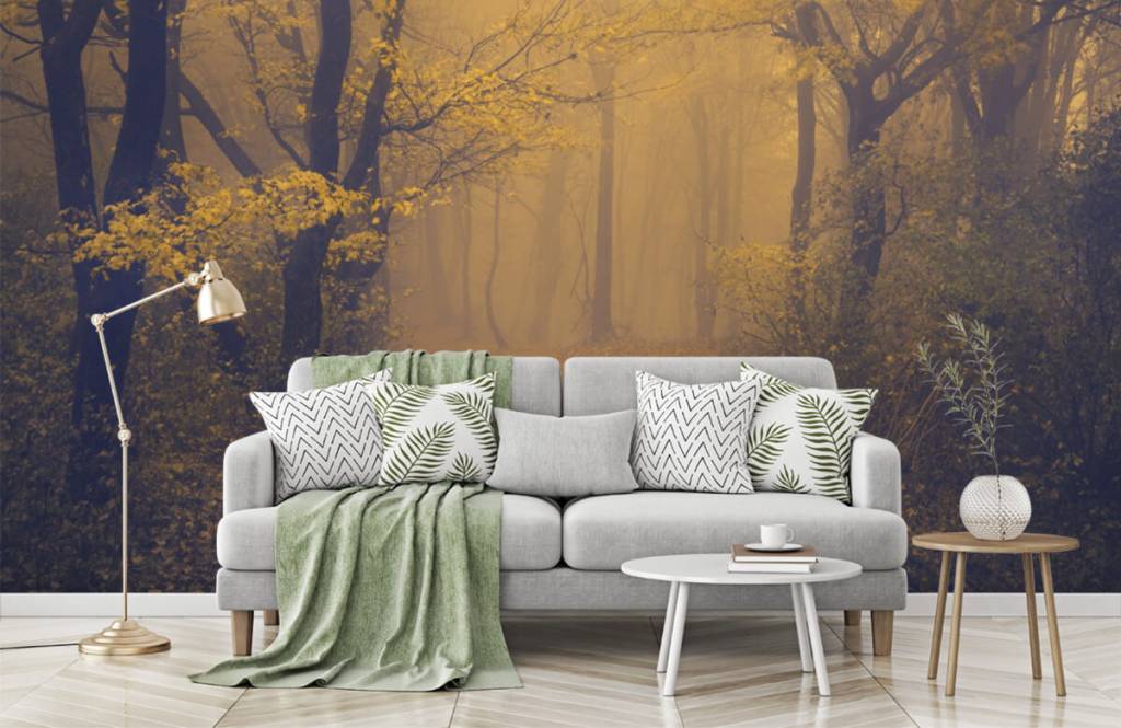 Behang met een donker bos - Fotobehang