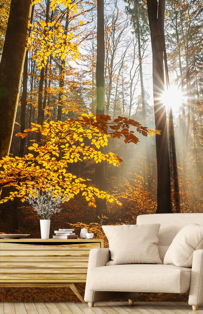 Behang met een herfstige bos - Fotobehang