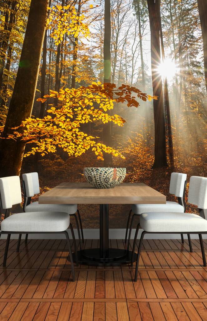 Behang met een herfstige bos - Fotobehang