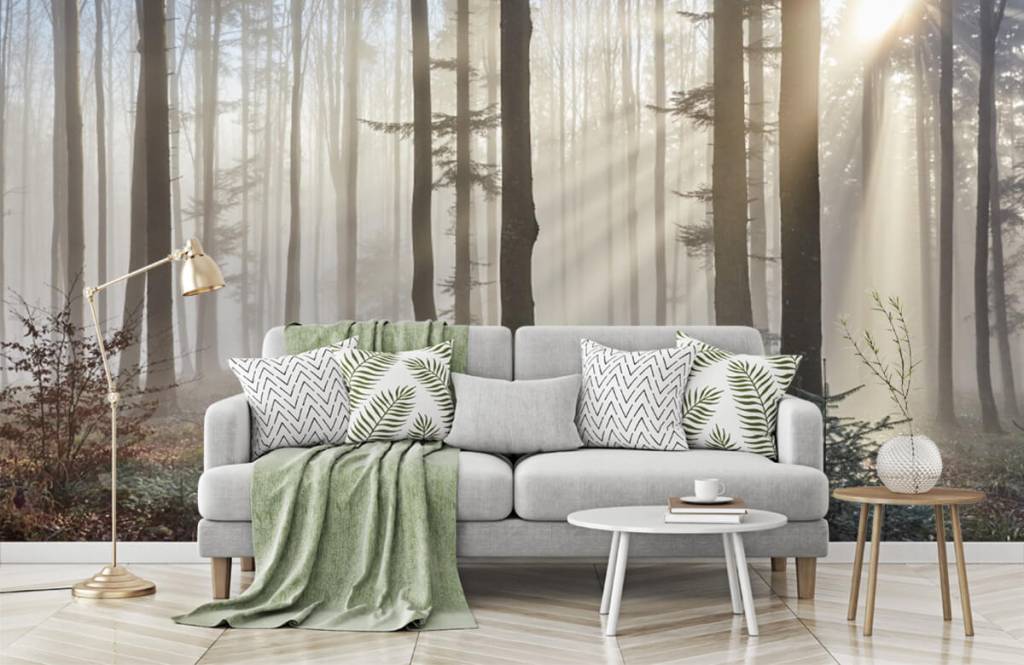 Behang met een mistig bos - Fotobehang