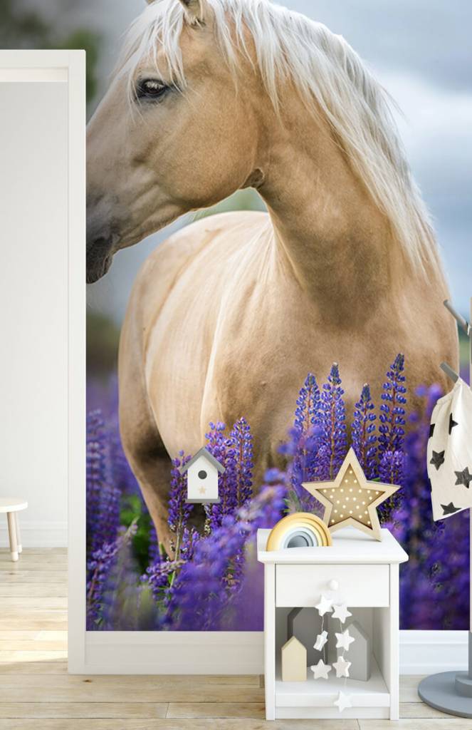 Behang met een paard tussen de lavendel - Fotobehang