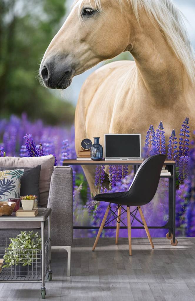 Behang met een paard tussen de lavendel - Fotobehang