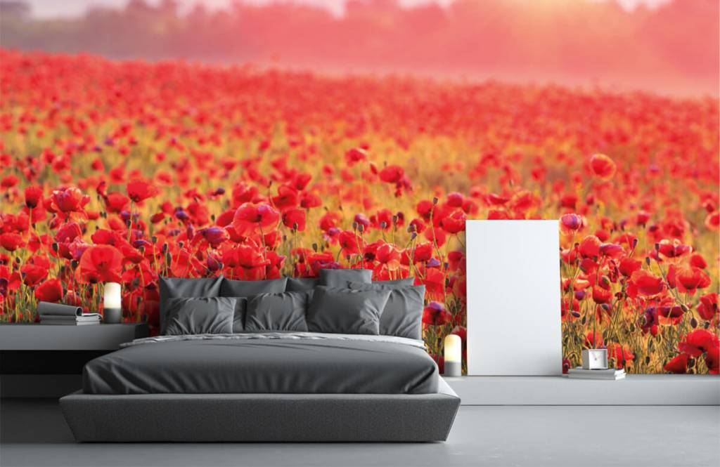 Behang met een veld vol klaprozen - Fotobehang