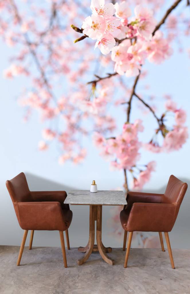 Behang met Japanse bloesems - Fotobehang
