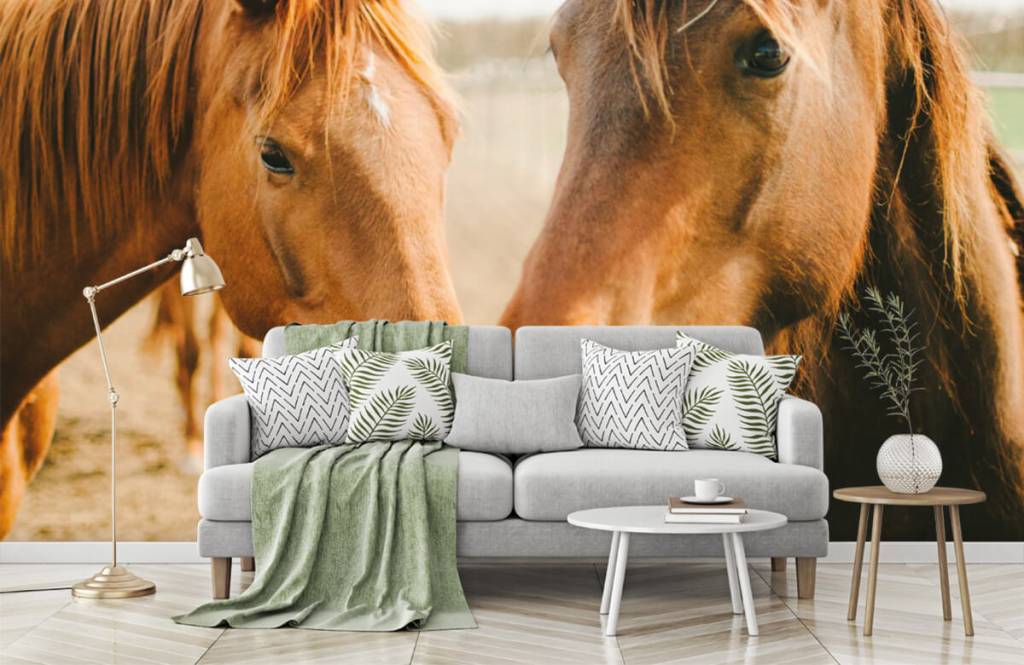 Behang met twee paarden - Fotobehang