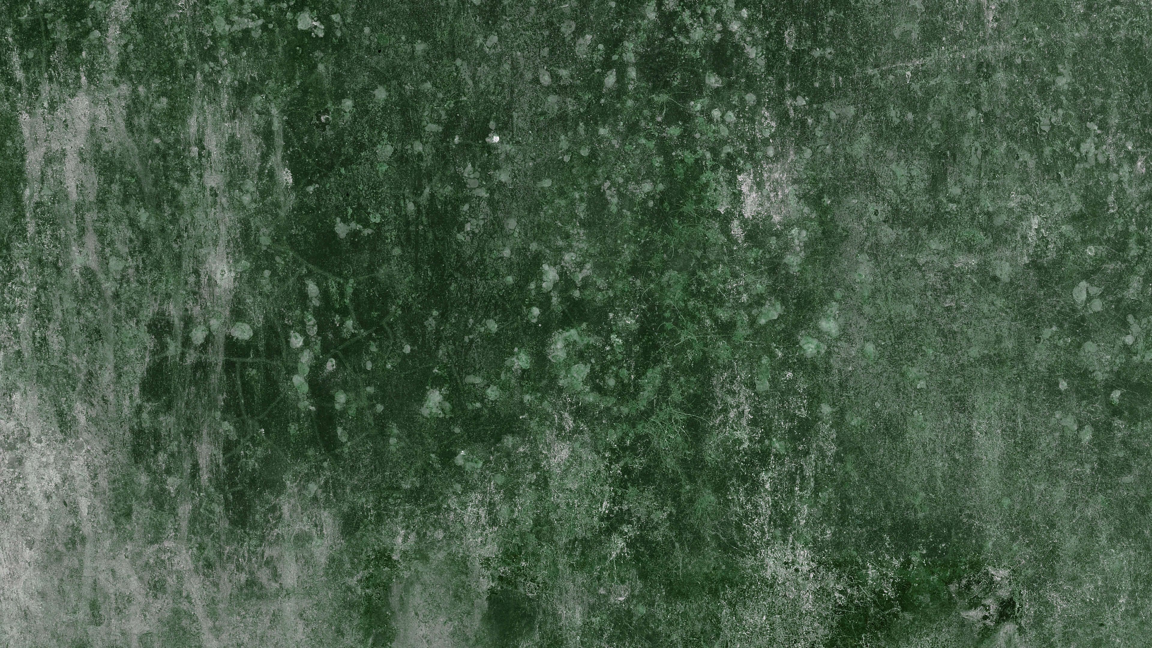 Oude verweerde groene muur - Fotobehang