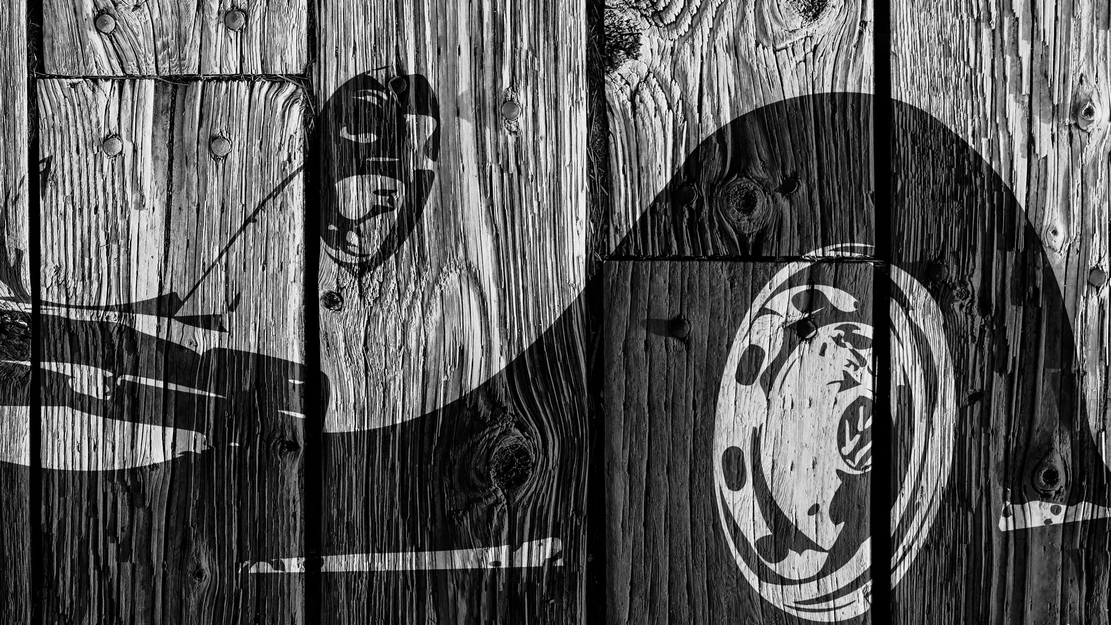 Graffiti Kever op hout - Fotobehang