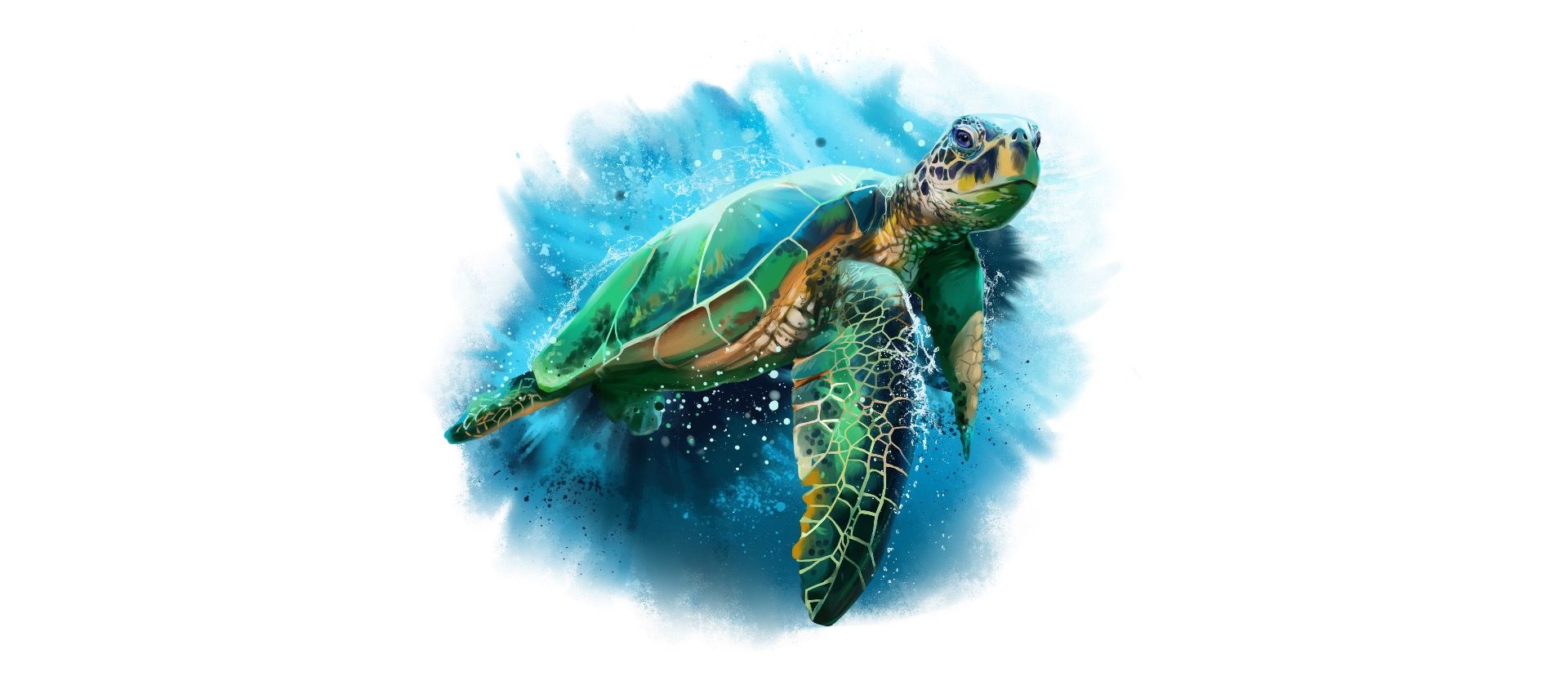 Getekende zeeschildpad - Fotobehang