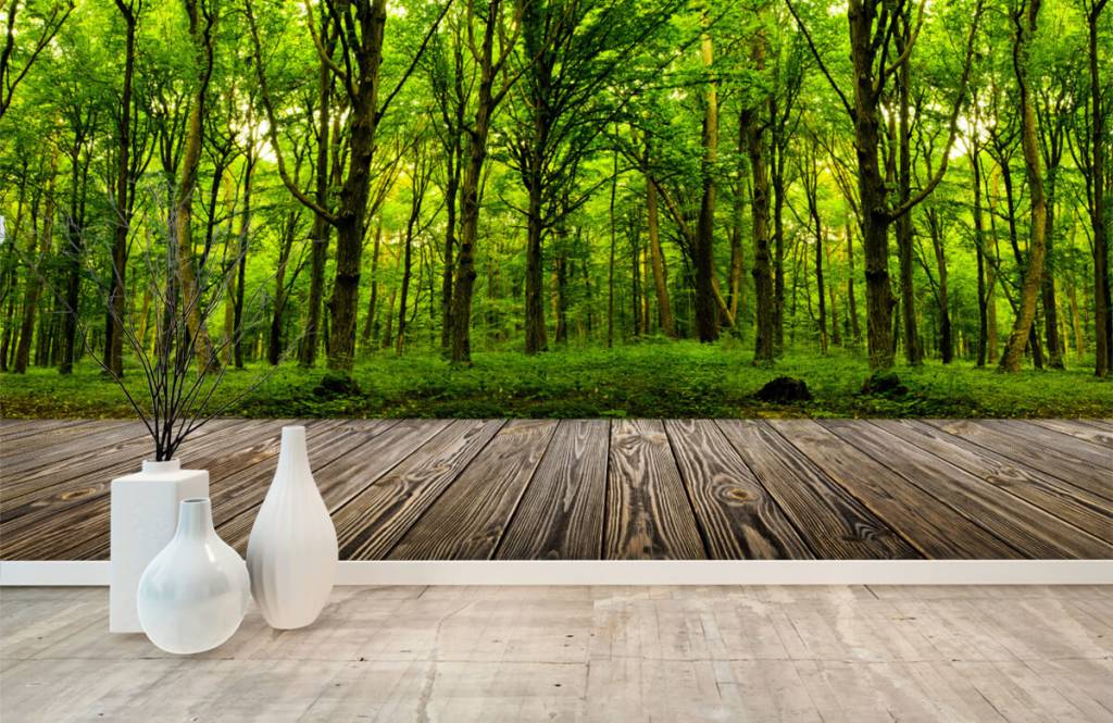 Fotobehang met een weelderig bos - Fotobehang
