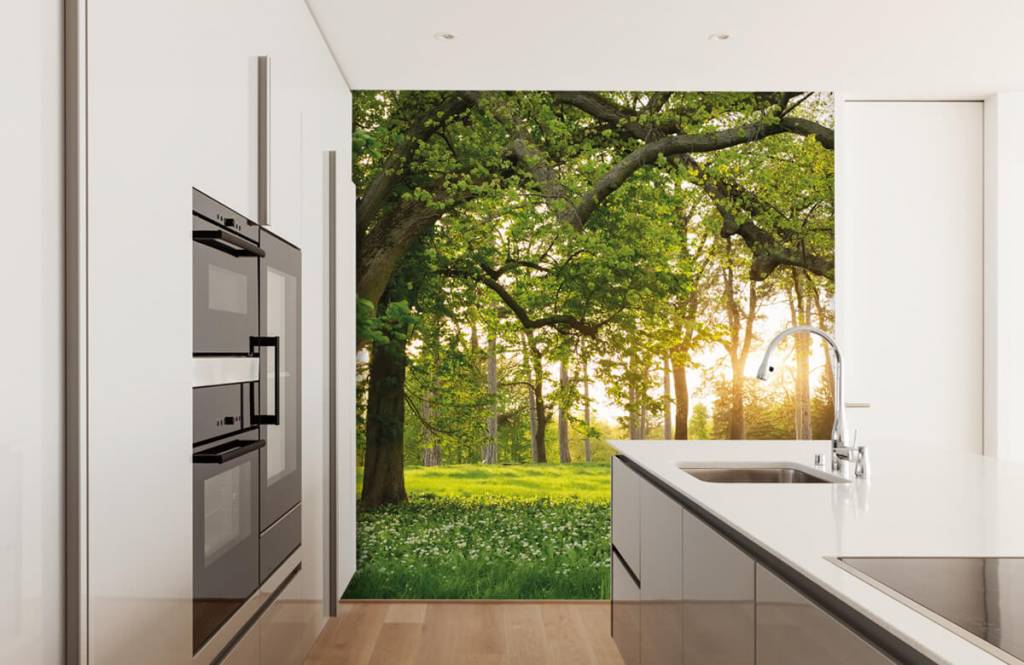 Fotobehang van een open plek in het bos - Fotobehang