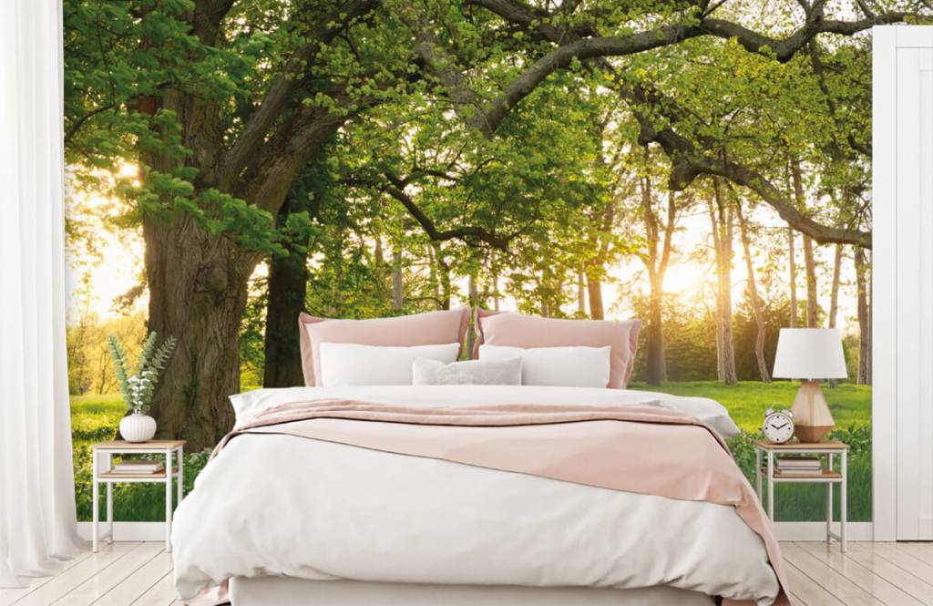 Fotobehang van een open plek in het bos - Fotobehang