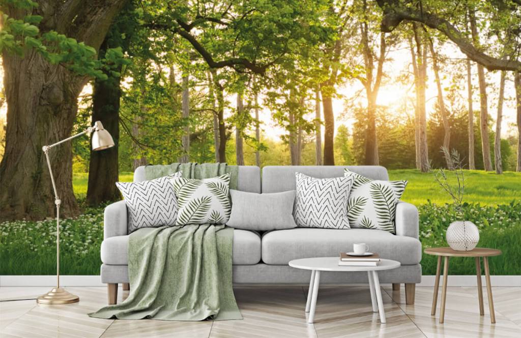 Fotobehang van een open plek in het bos - Fotobehang