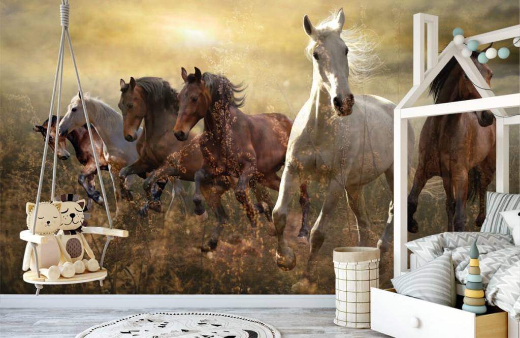 Galopperende paarden bij zonsondergang fotobehang - Fotobehang