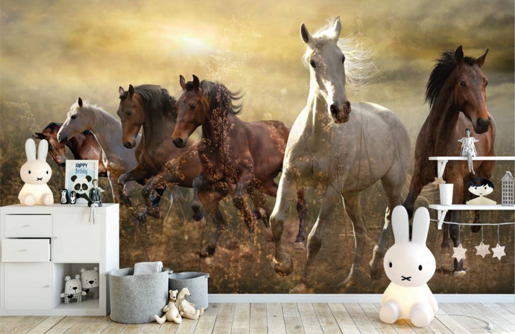 Galopperende paarden bij zonsondergang fotobehang - Fotobehang
