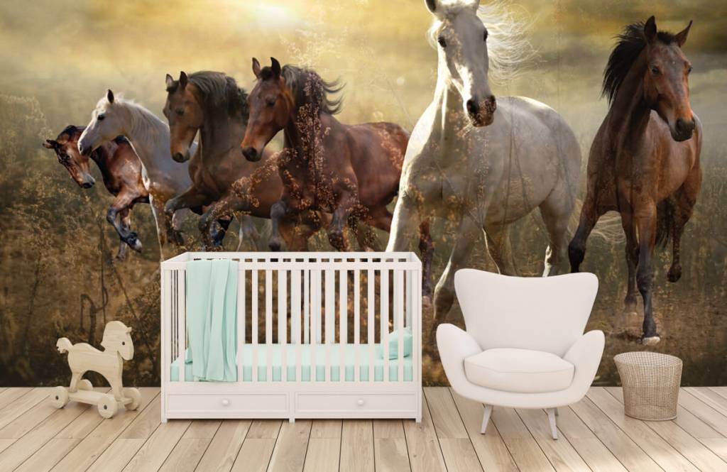 Galopperende paarden bij zonsondergang fotobehang - Fotobehang