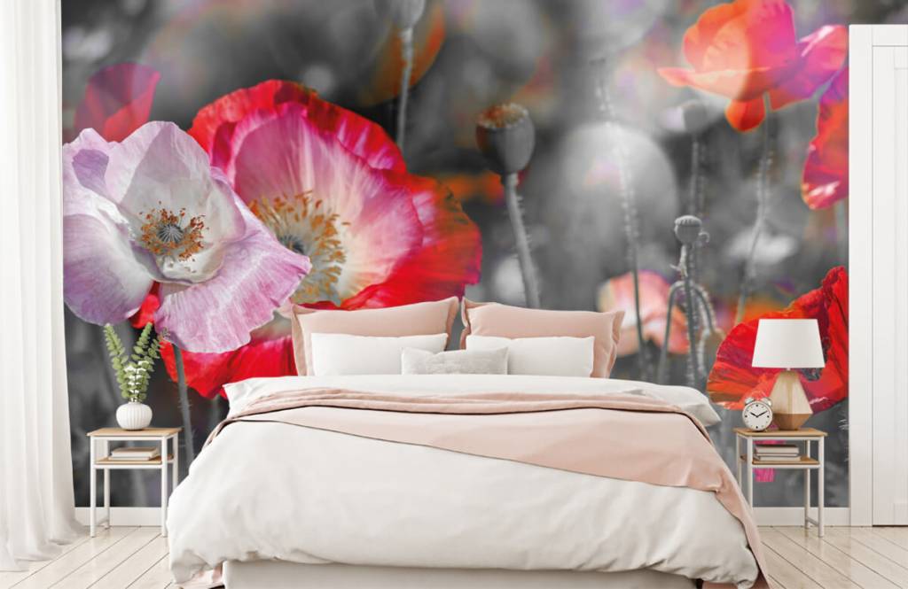 Klaprozen in zwart, wit, rood op fotobehang - Fotobehang