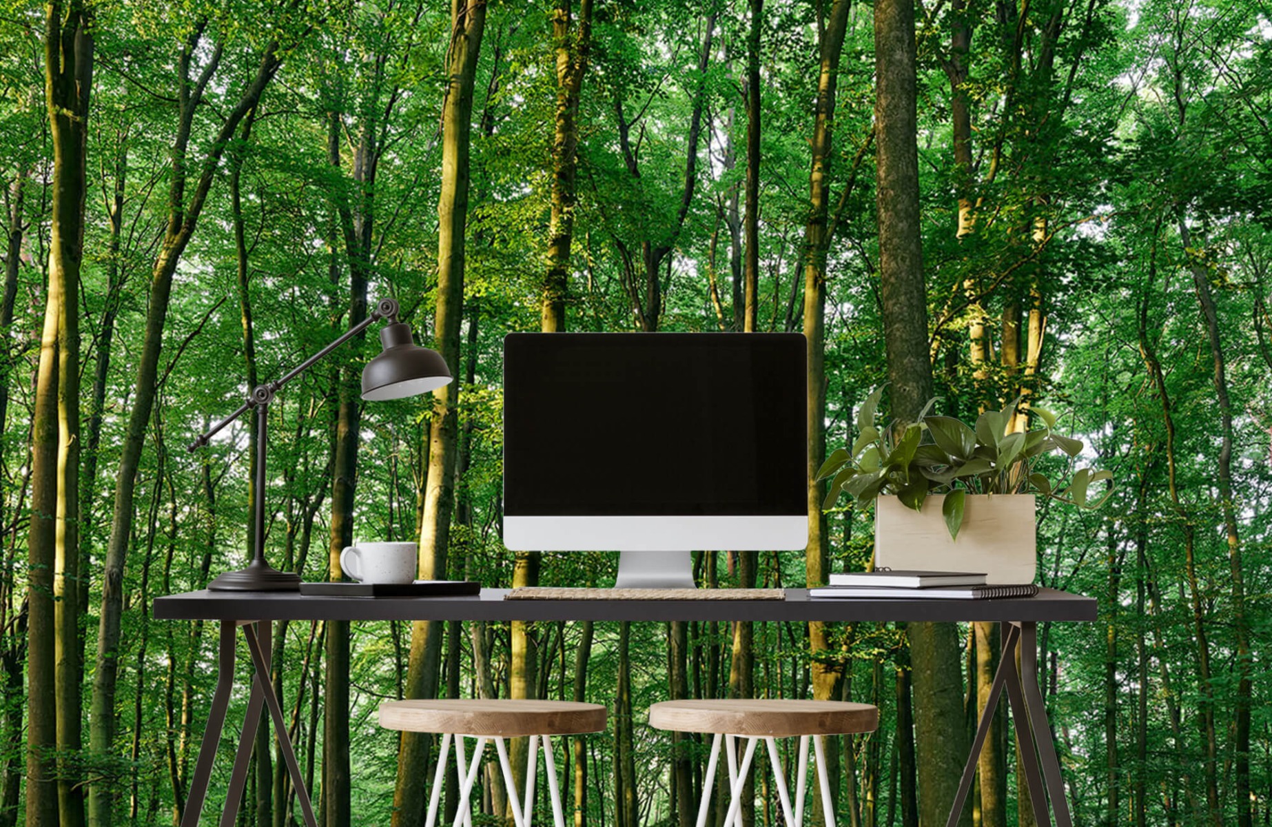 Groen bos - Wallexclusive - Fotobehang