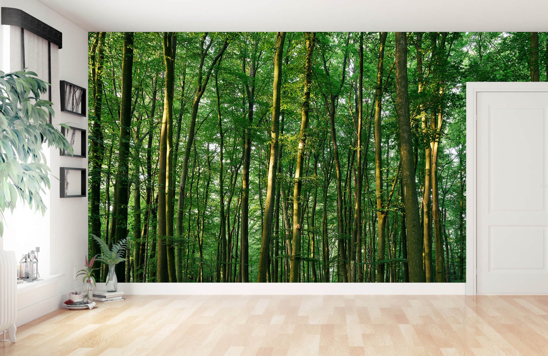 Groen bos - Wallexclusive - Fotobehang