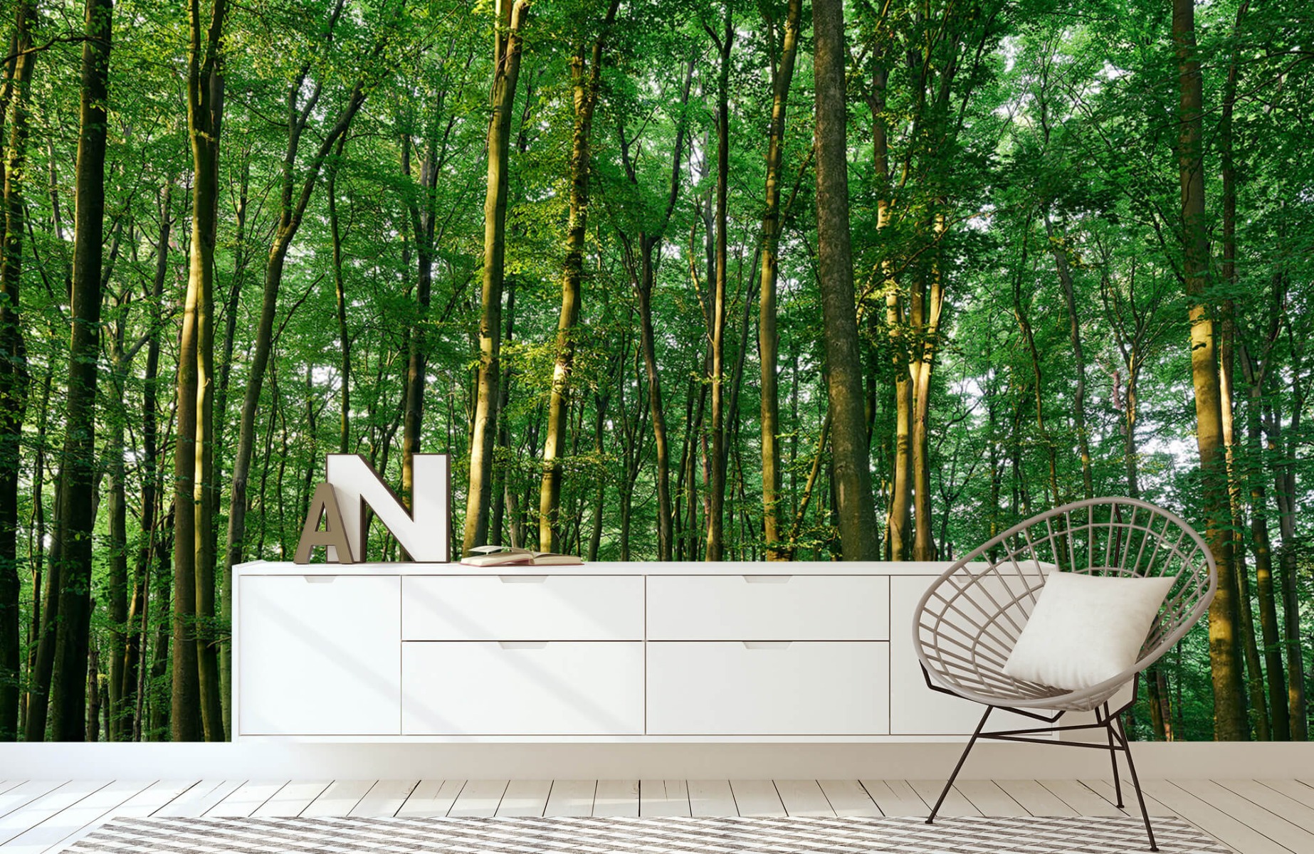 Groen bos - Wallexclusive - Fotobehang