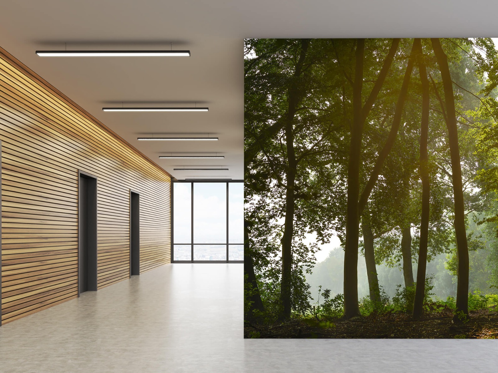 Bos in de ochtendzon - Fotobehang