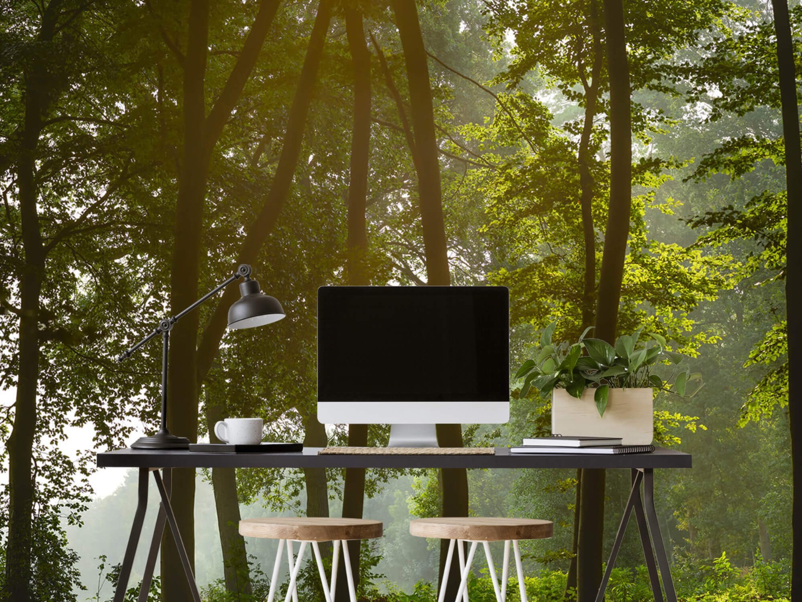 Bos in de ochtendzon - Fotobehang