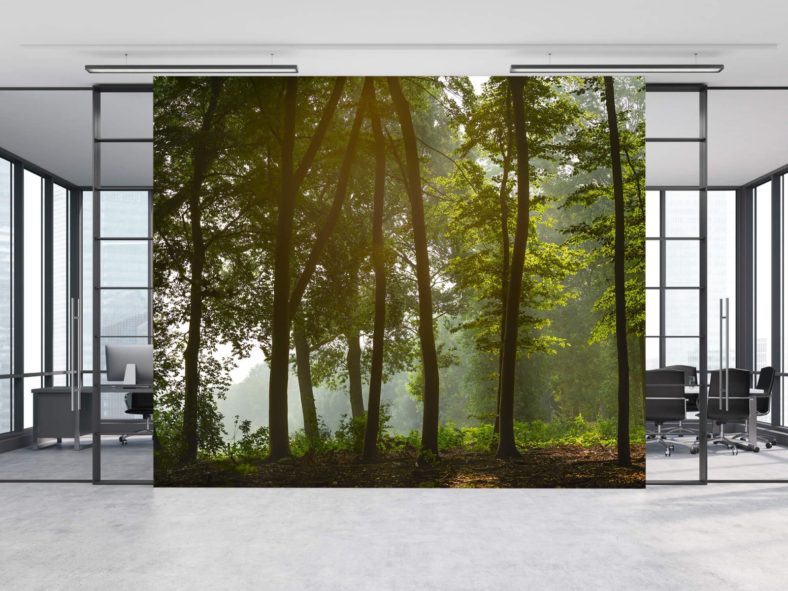 Bos in de ochtendzon - Fotobehang