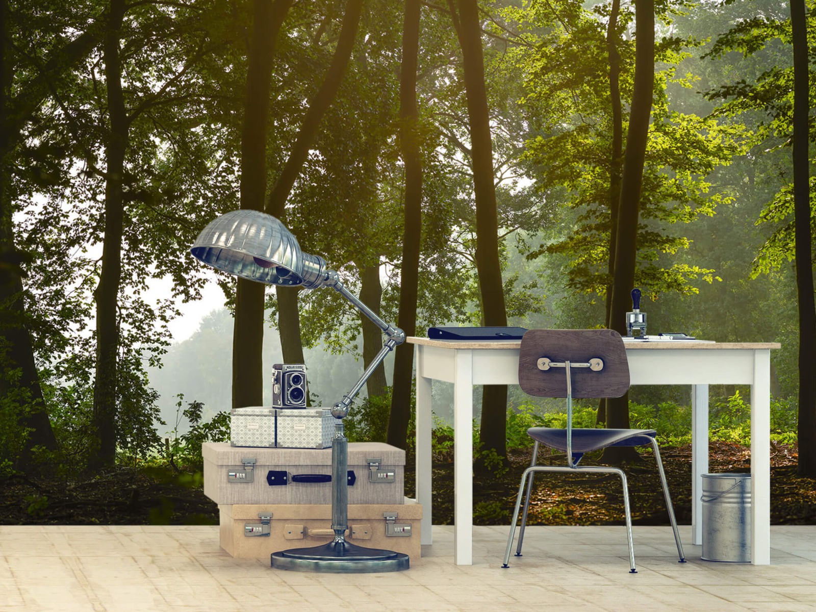 Bos in de ochtendzon - Fotobehang