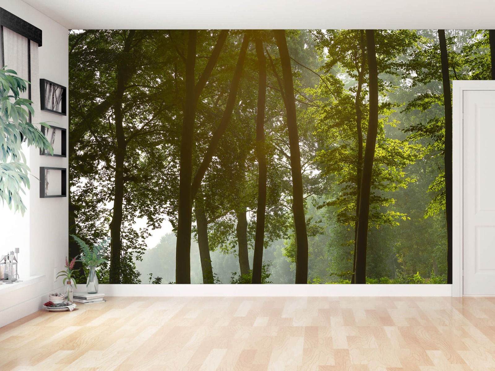 Bos in de ochtendzon - Fotobehang