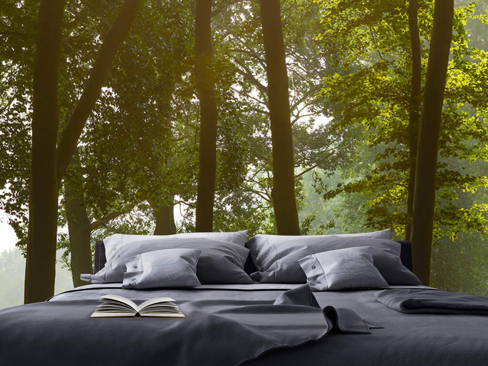 Bos in de ochtendzon - Fotobehang