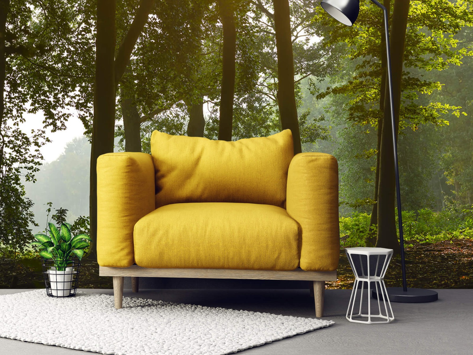 Bos in de ochtendzon - Fotobehang