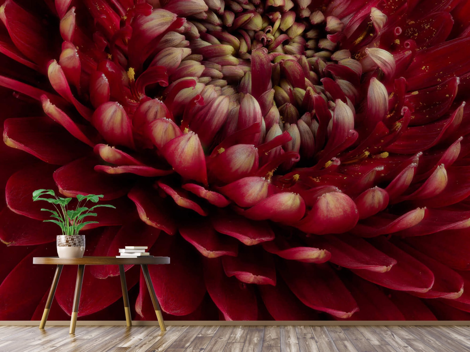 Rode bloem - Fotobehang