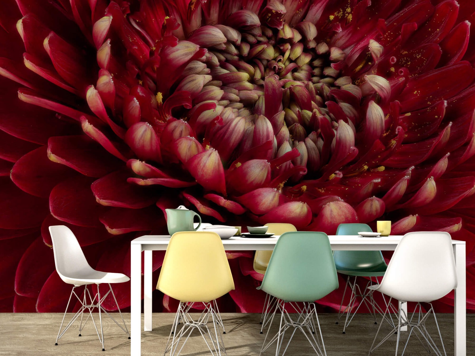 Rode bloem - Fotobehang