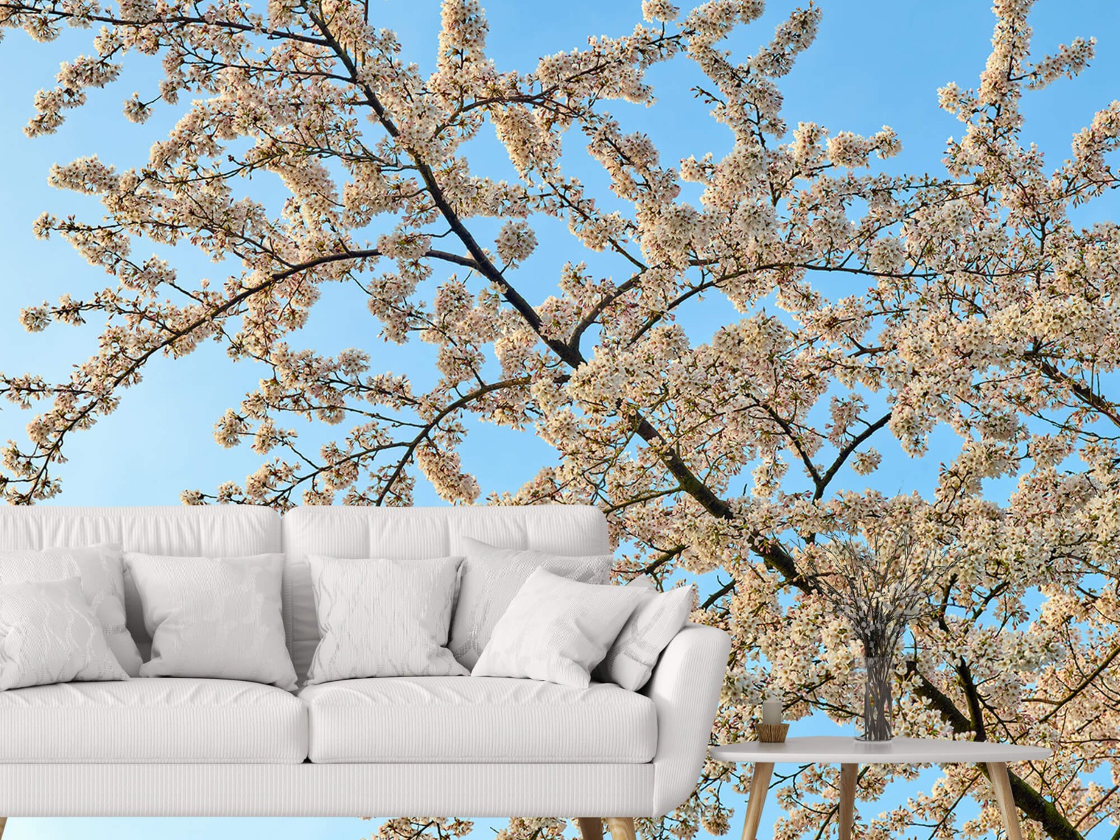 Bloesemtak - Fotobehang