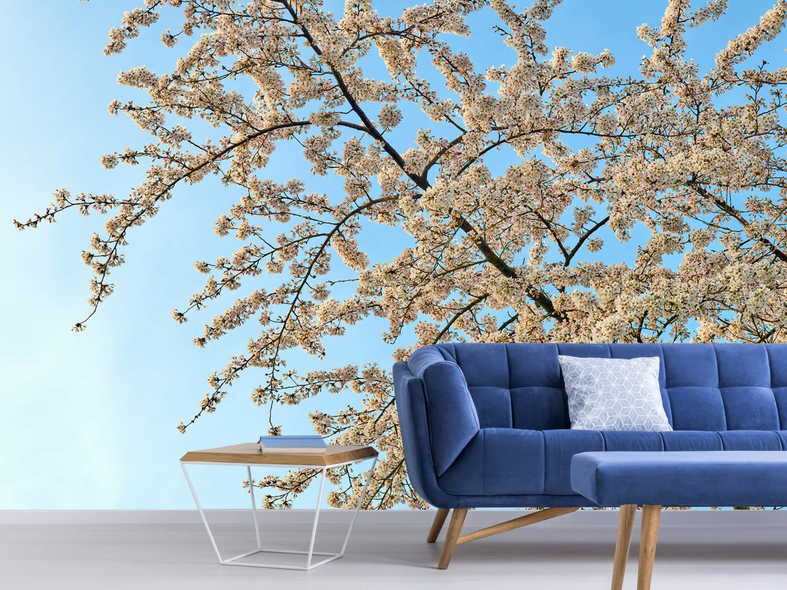 Bloesemtak - Fotobehang