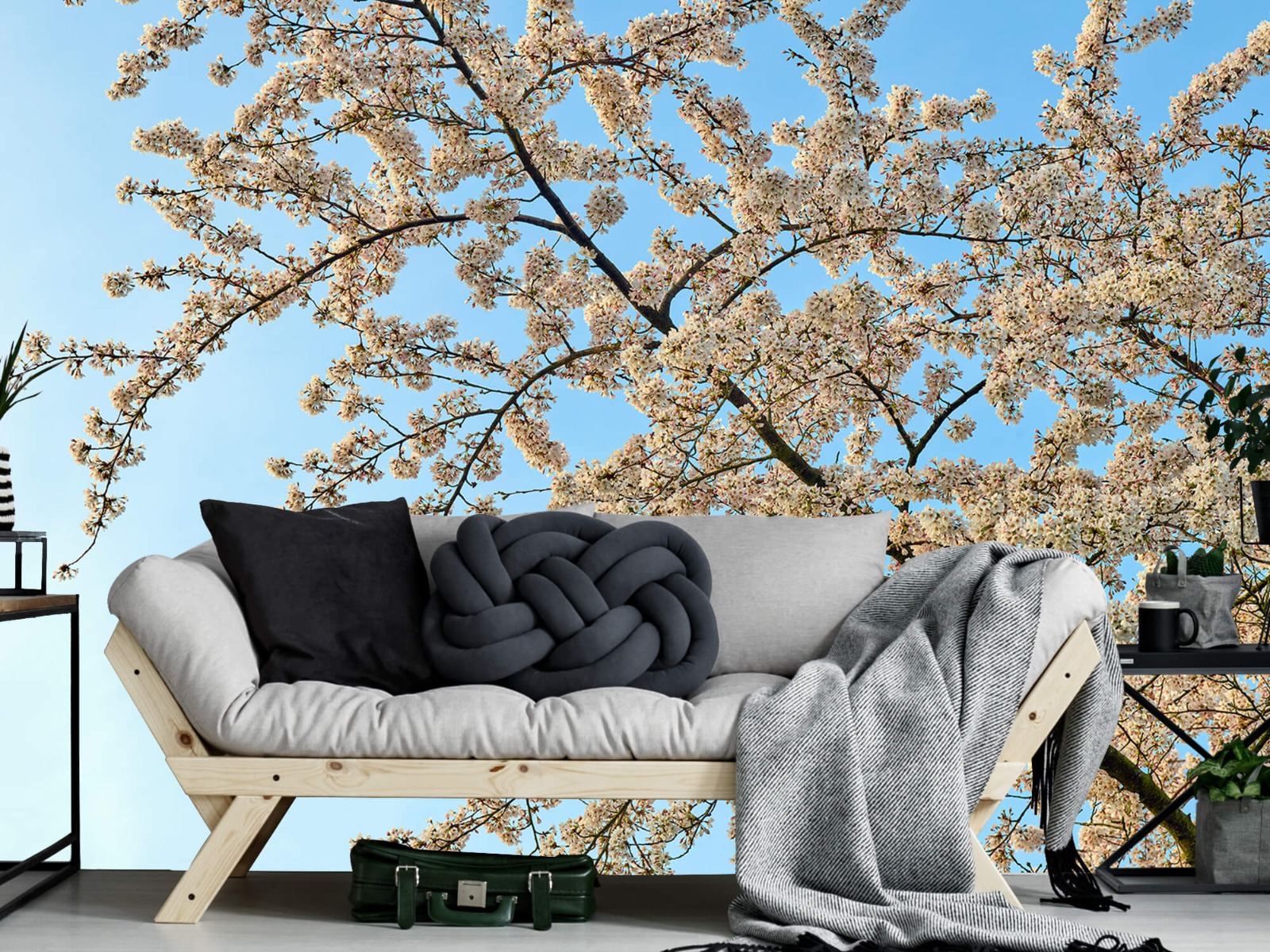 Bloesemtak - Fotobehang